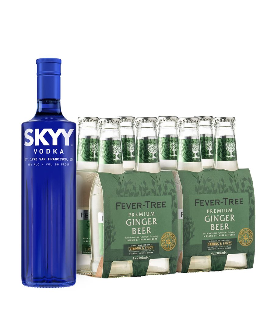 Vodka Skyy Vodka & Ginger Beer 2.3 l skladem | Warehouse #1